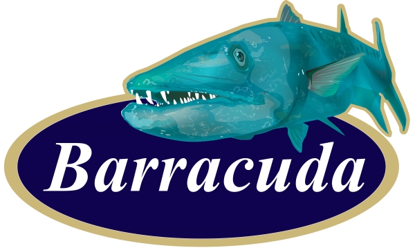 Barracuda_600 – Quality Machine & Manufacturing